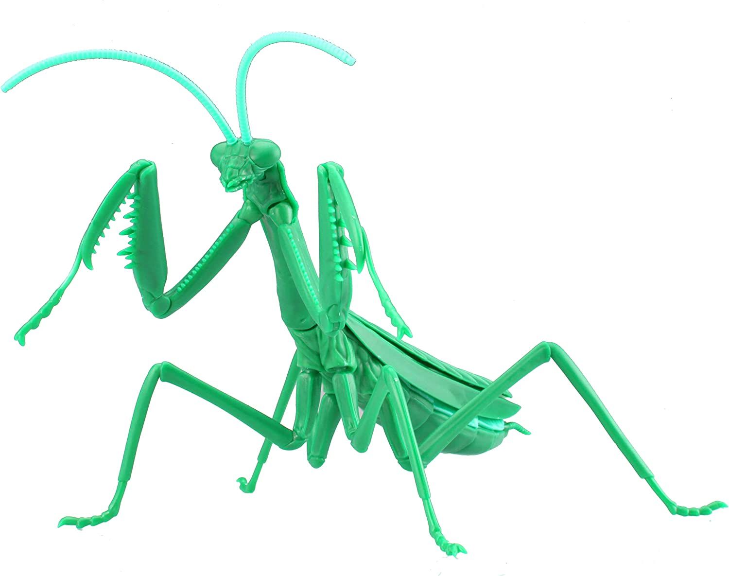 Banzai Hobby - Fujimi Biology Edition Big Mantis (Metallic Green ...